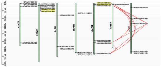 IJMS | Free Full-Text | Genome-Wide and Transcriptome Analysis of ...