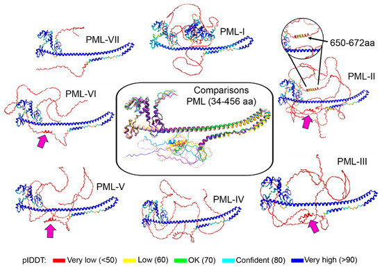 PML Body Biogenesis: A Delicate Balance of Interactions