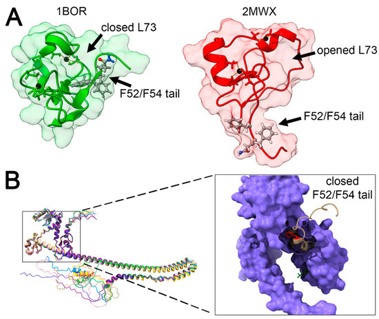PML Body Biogenesis: A Delicate Balance of Interactions