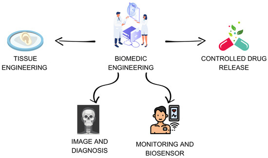 Biomedical Approach of Nanotechnology and Biological Risks: A Mini-Review