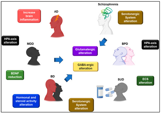 Molecular Changes Associated with Suicide