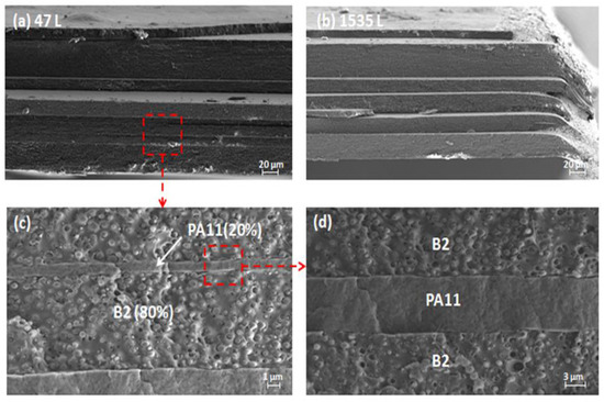 Biosourced Multiphase Systems Based on Poly(Lactic Acid) and Polyamide 11 from Blends to Multi ...