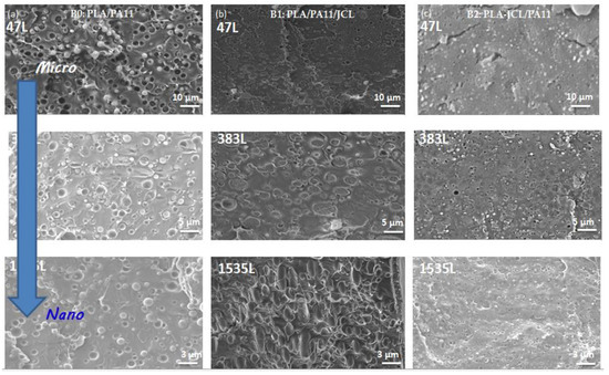 Biosourced Multiphase Systems Based on Poly(Lactic Acid) and Polyamide 11 from Blends to Multi ...