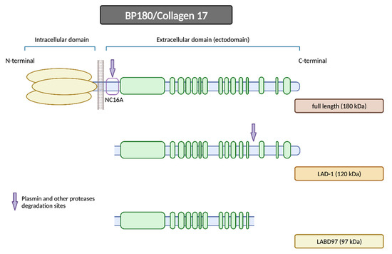 From Molecular Insights to Clinical Perspectives in Drug-Associated ...