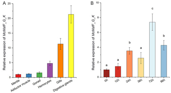 The Functional Significance of McMafF_G_K in Molluscs: Implications for ...