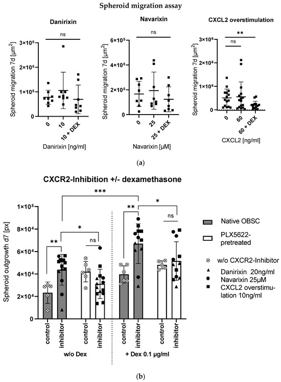 CXCR2-Blocking Has Context-Sensitive Effects on Rat Glioblastoma Cell ...