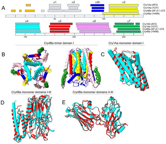 Channel Formation in Cry Toxins: An Alphafold-2 Perspective