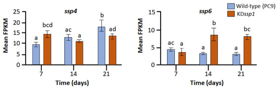 Altered Expression of Two Small Secreted Proteins (ssp4 and ssp6 ...