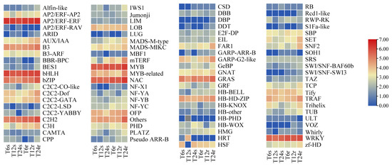 Co-Expression Network Analysis of the Transcriptome Identified Hub ...