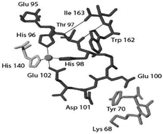 The Role H-Bonding and Supramolecular Structures in Homogeneous and ...