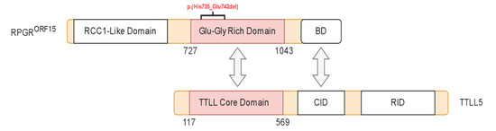 IJMS | Free Full-Text | Towards a Long-Read Sequencing Approach for the ...