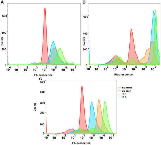 Hypericin-Based Photodynamic Therapy Displays Higher Selectivity and ...