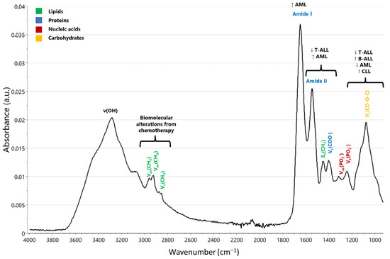 Infrared Spectroscopy: A New Frontier in Hematological Disease Diagnosis