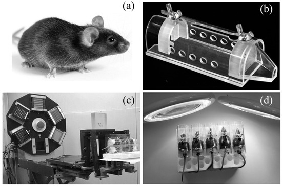 Short-Term and Long-Term Effects after Exposure to Ionizing Radiation ...