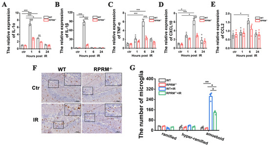 IJMS | Free Full-Text | Reprimo (RPRM) as a Potential Preventive and ...