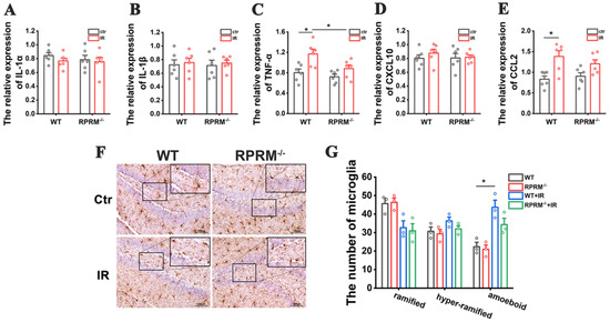 IJMS | Free Full-Text | Reprimo (RPRM) as a Potential Preventive and ...