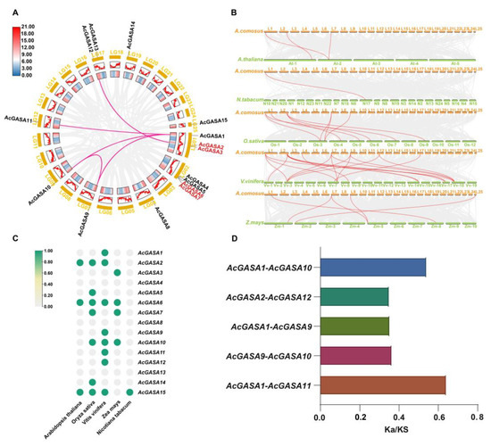 Genome-Wide Identification and Characterization of Gibberellic Acid ...