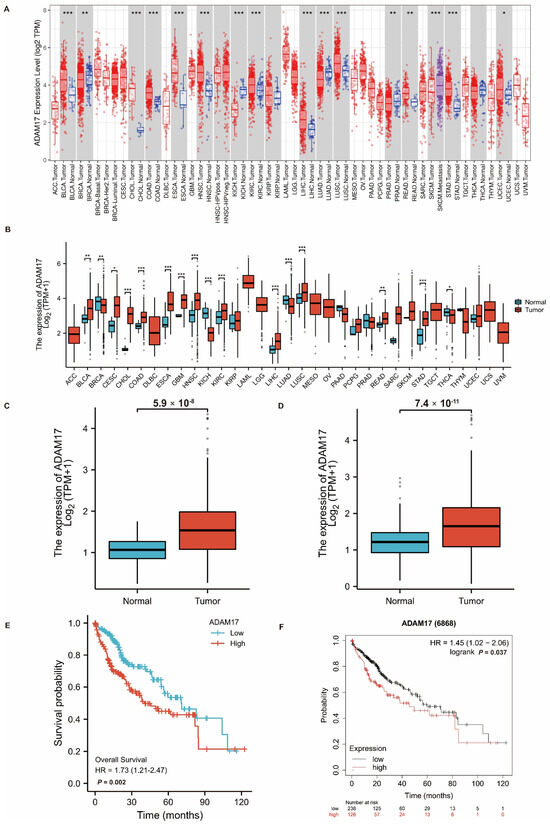 Predictive Roles of ADAM17 in Patient Survival and Immune Cell ...