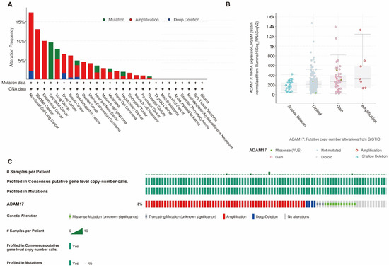 Predictive Roles of ADAM17 in Patient Survival and Immune Cell ...