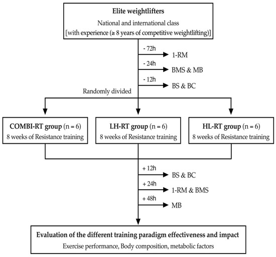 Effects of Low-Load, High-Repetition Resistance Training on Maximum ...