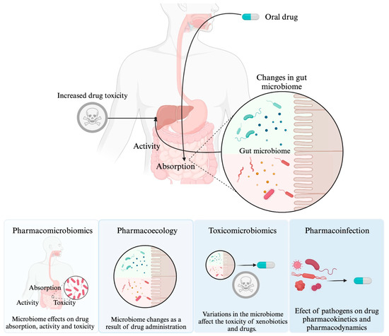 Pharmacomicrobiomics and Drug–Infection Interactions: The Impact of ...