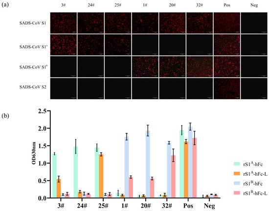 Generation and Characterization of Monoclonal Antibodies against Swine ...