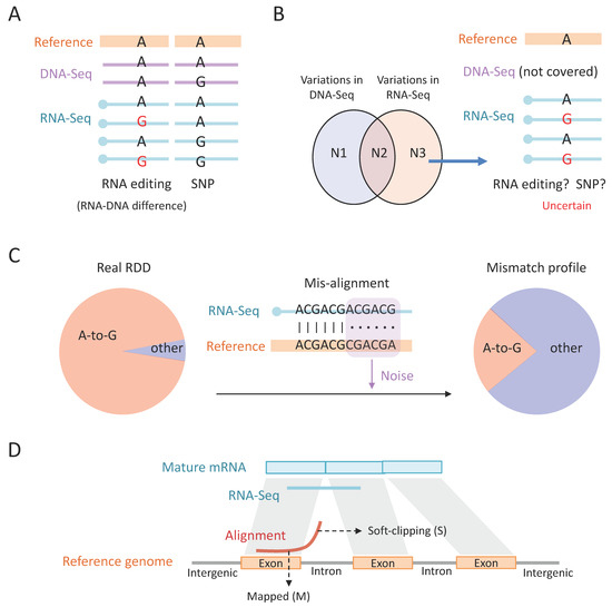 Identification And Interpretation Of A To I Rna Editing Events In Insect Transcriptomes