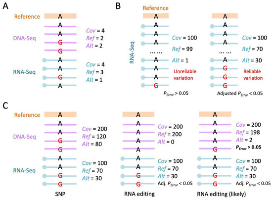 Identification And Interpretation Of A To I Rna Editing Events In Insect Transcriptomes
