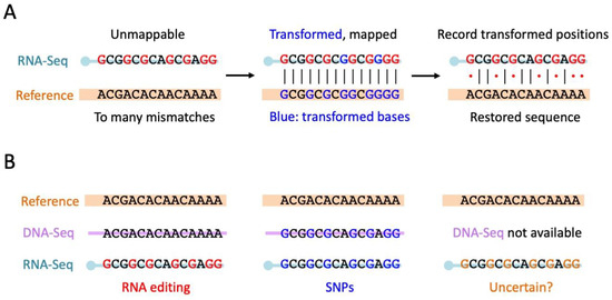 Identification and Interpretation of A-to-I RNA Editing Events in ...