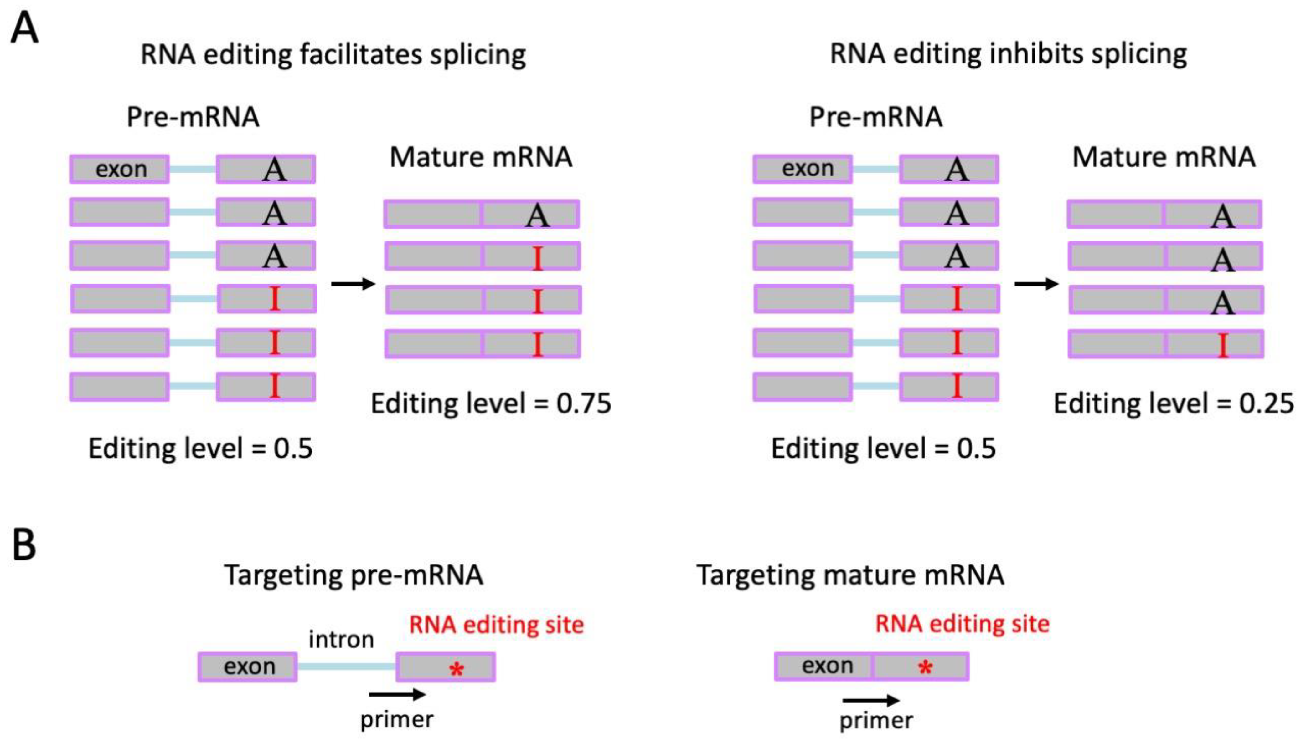 Identification And Interpretation Of A To I Rna Editing Events In Insect Transcriptomes