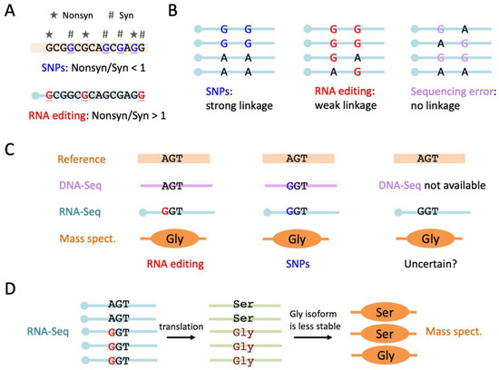Identification And Interpretation Of A To I Rna Editing Events In Insect Transcriptomes