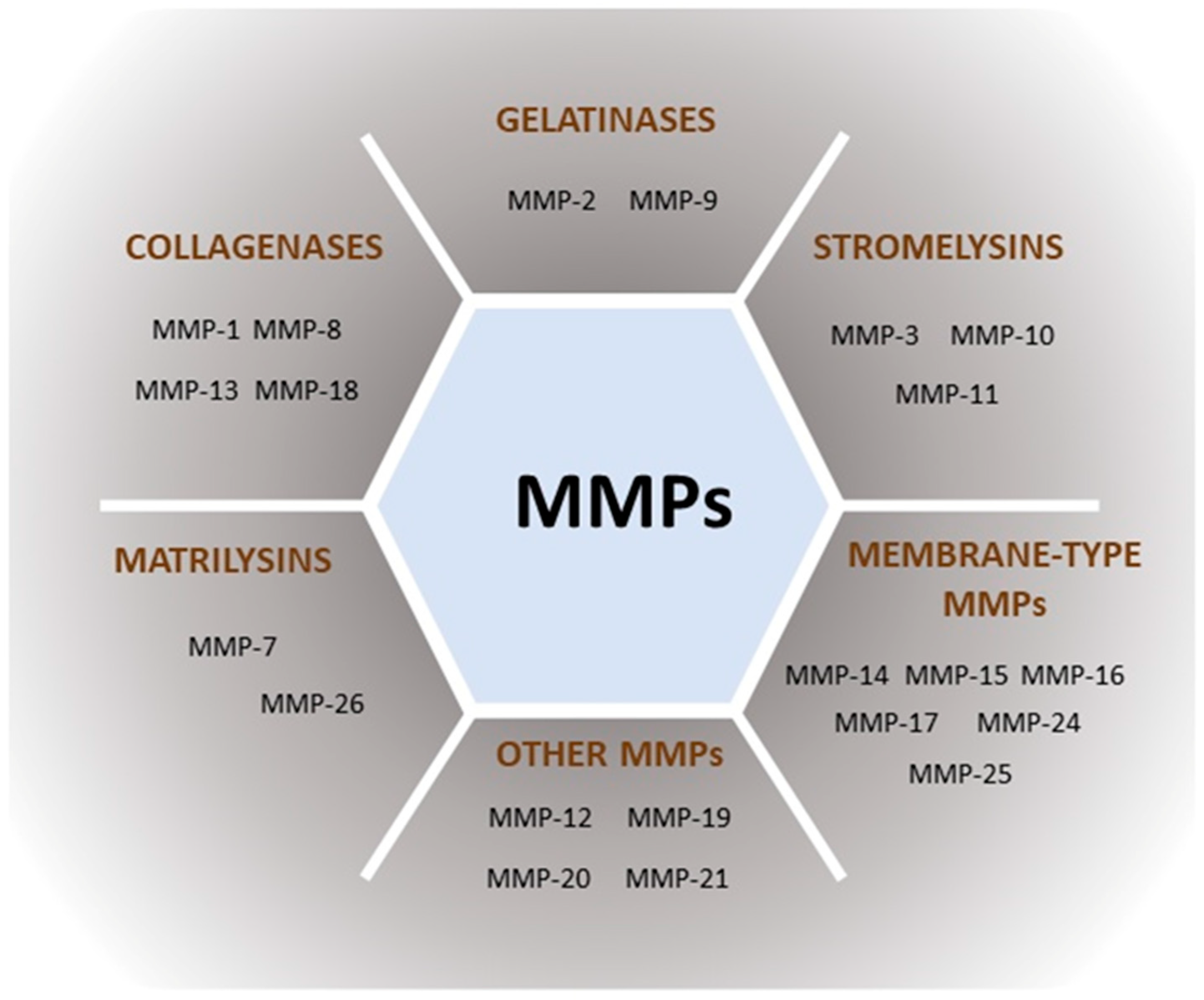 Importance of Metalloproteinase Enzyme Group in Selected Skeletal System Diseases