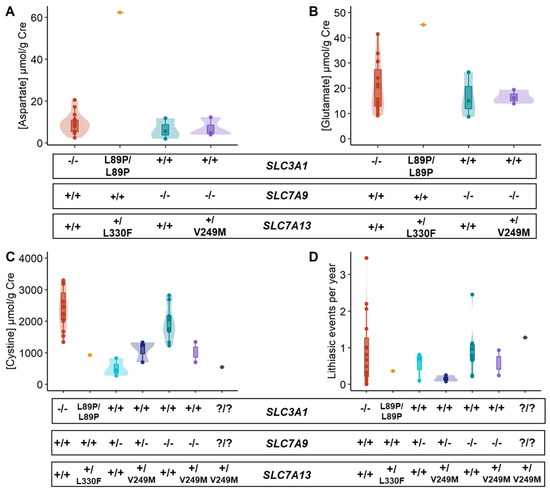 Exploring the Contribution of the Transporter AGT1/rBAT in Cystinuria ...