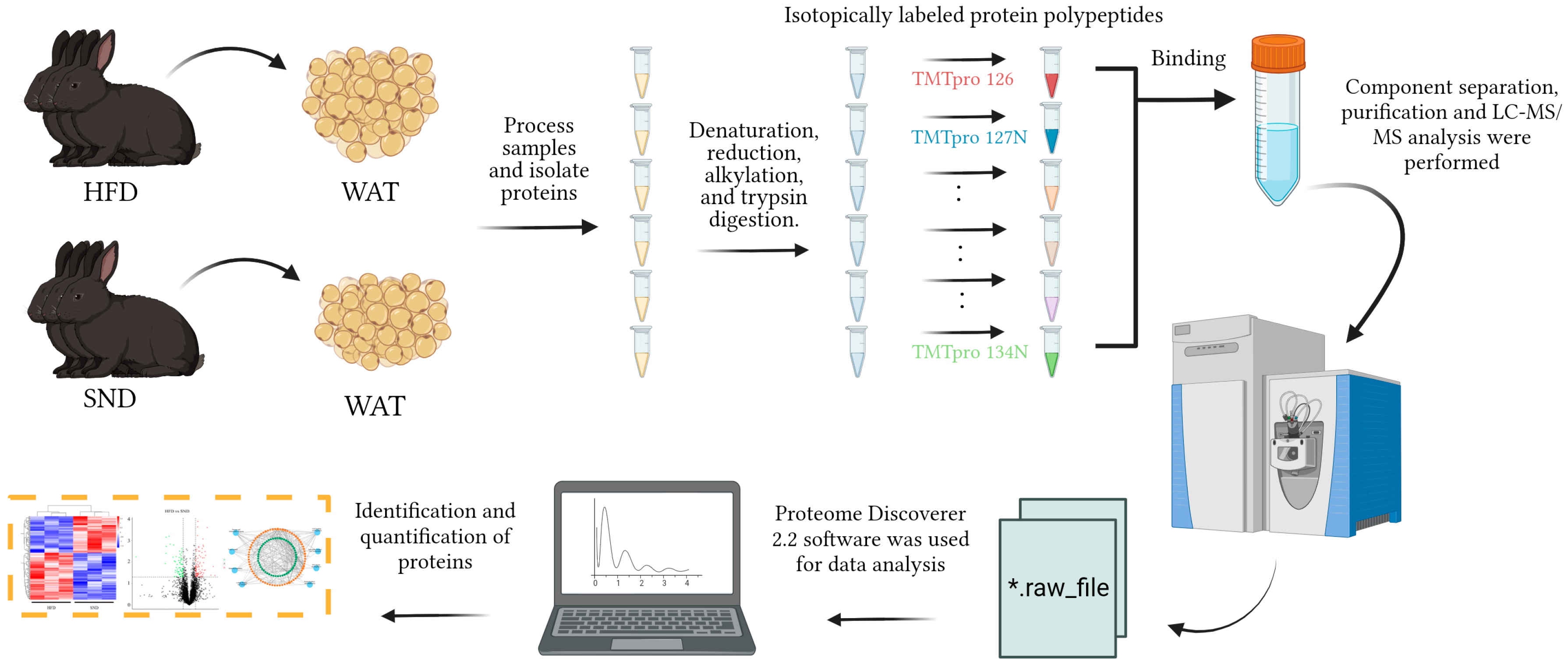 TMT-Based Proteomics Analysis Revealed the Protein Changes in Perirenal ...