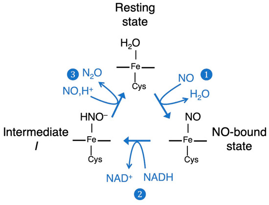 IJMS | Free Full-Text | Computational Exploration of Minimum Energy ...