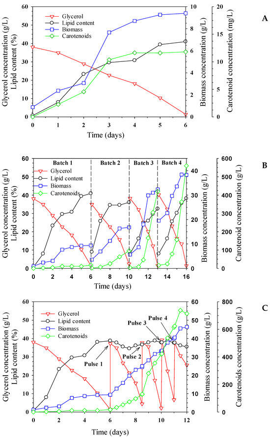 Simultaneous Lipid and Carotenoid Production via Rhodotorula paludigena ...