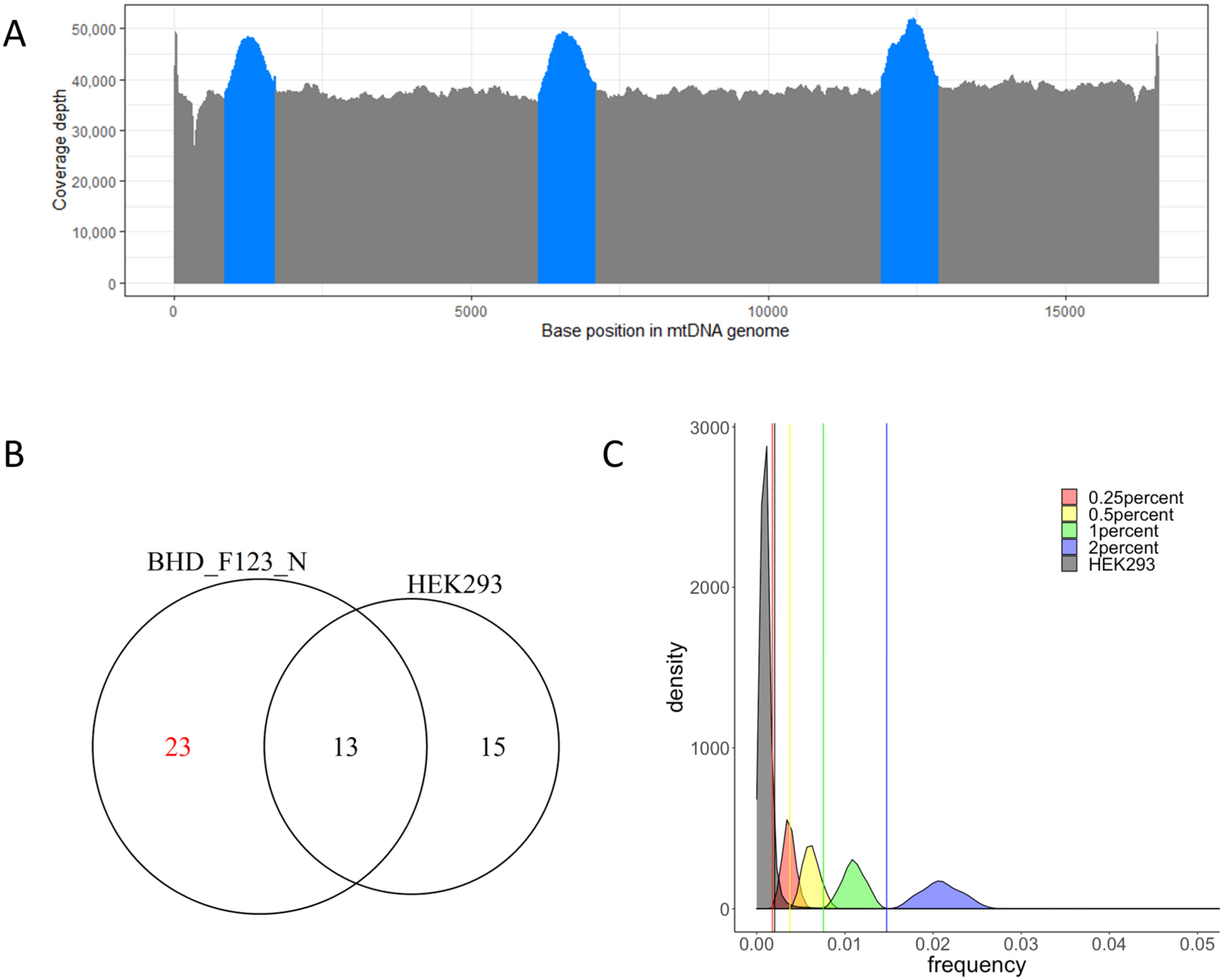 Mitochondrial DNA Variants at Low-Level Heteroplasmy and Decreased Copy ...