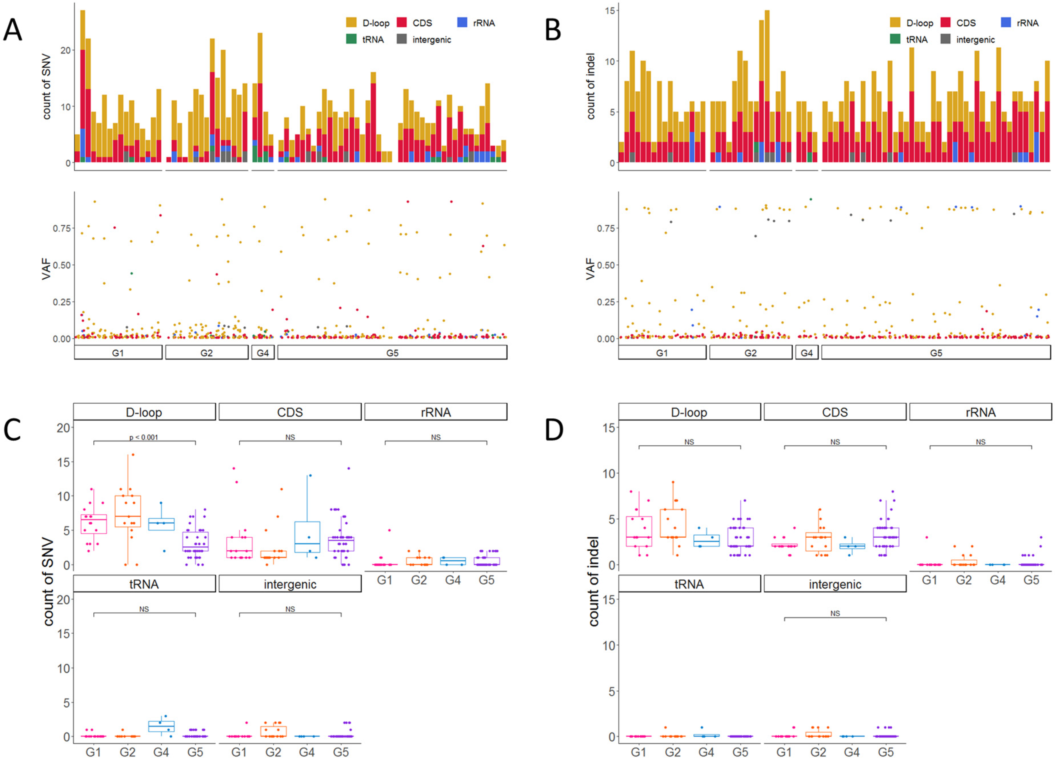 Mitochondrial DNA Variants at Low-Level Heteroplasmy and Decreased Copy ...
