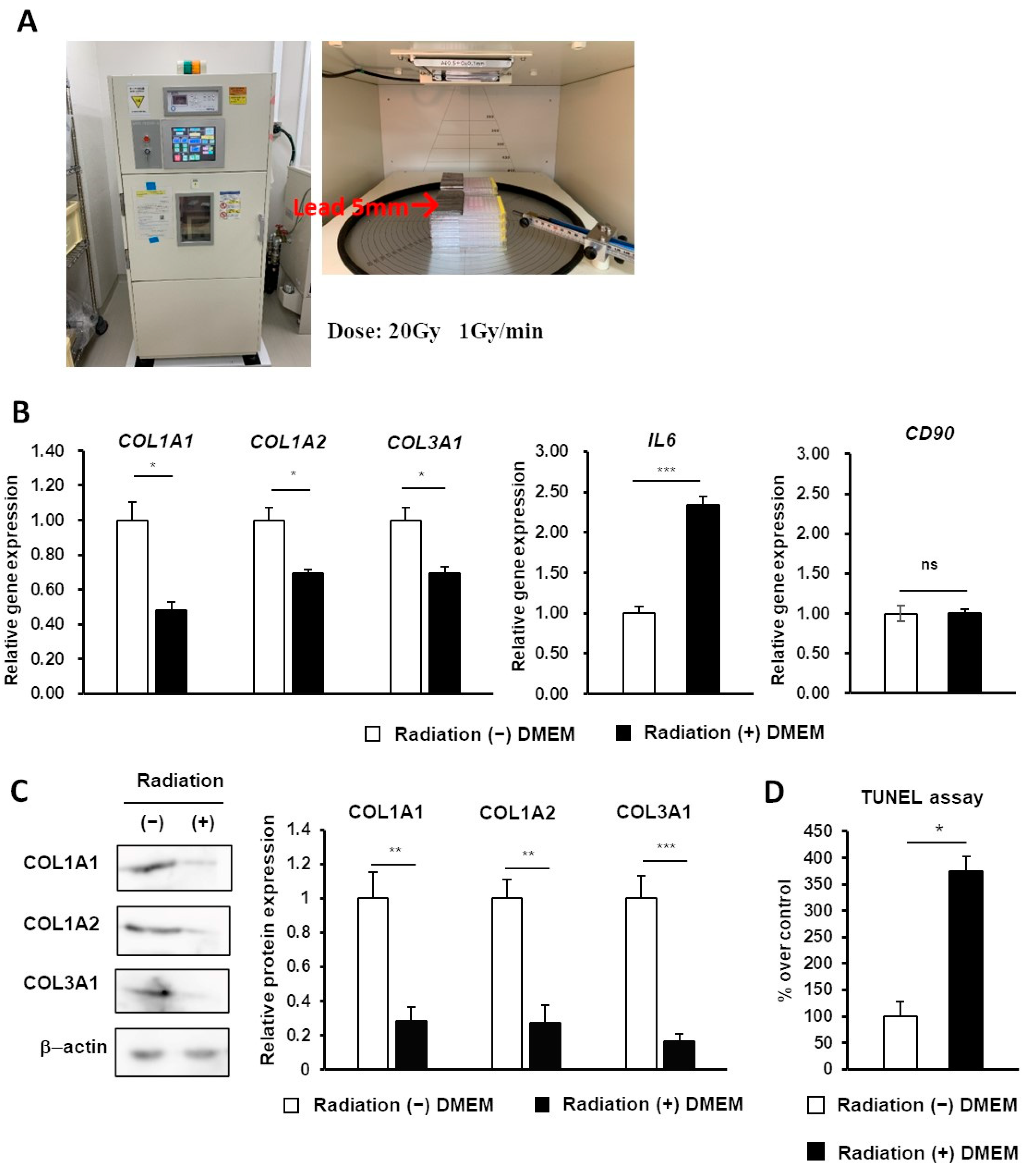IJMS | Free Full-Text | Therapeutic Potential of Adipose-Derived Stem ...