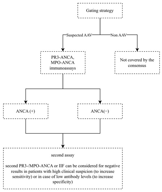 The Role of Neutrophils in ANCA-Associated Vasculitis: The Pathogenic ...