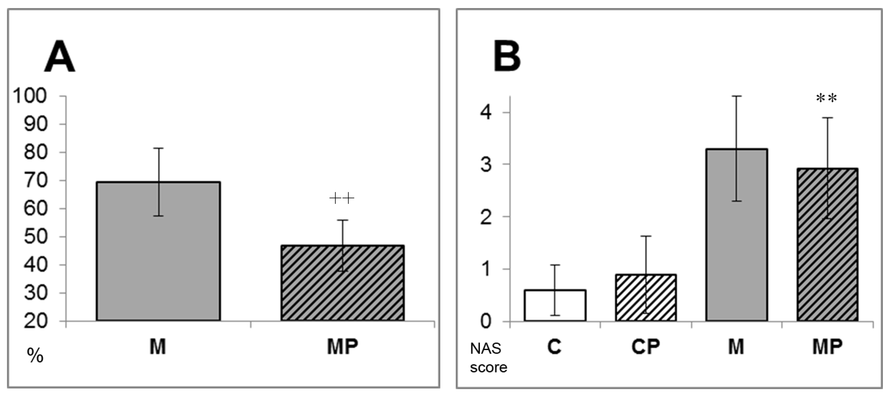 IJMS | Free Full-Text | The Ameliorating Effects of n-3 Polyunsaturated ...