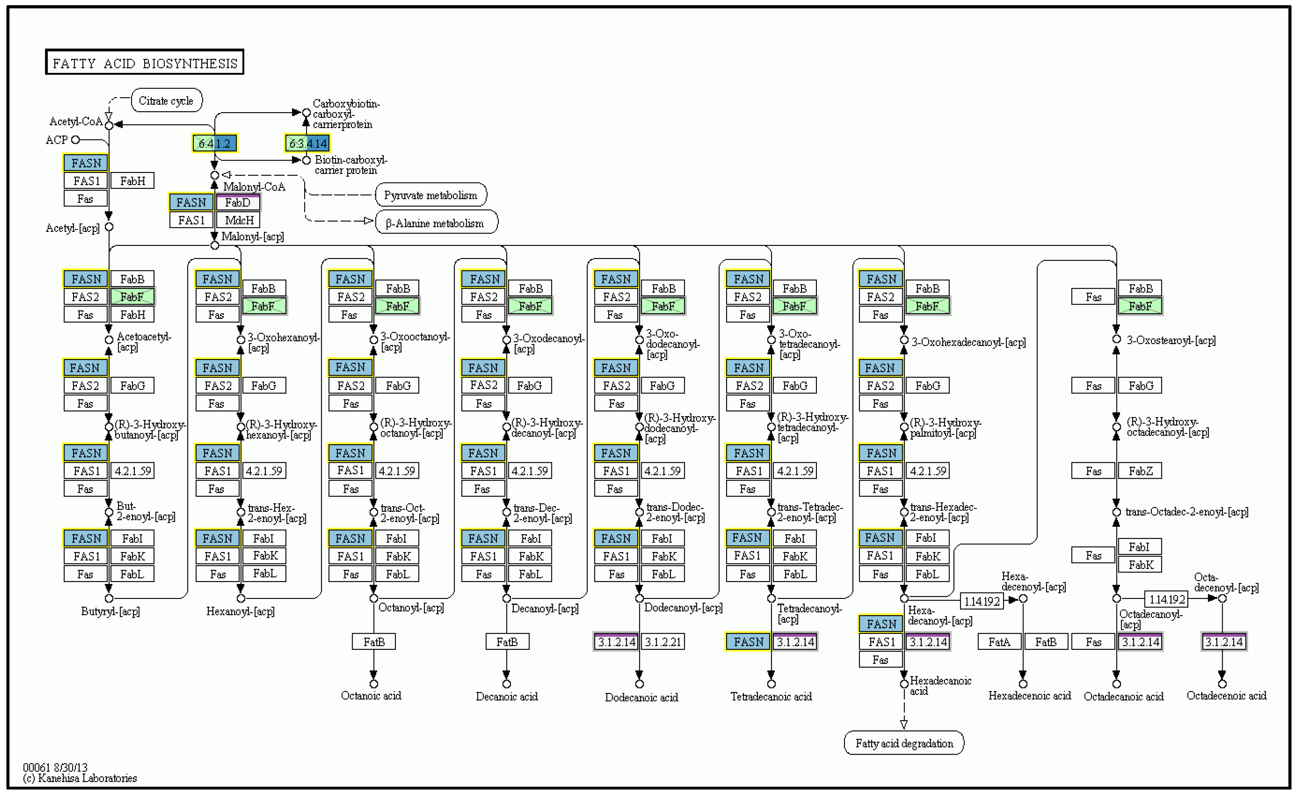 IJMS | Free Full-Text | The Ameliorating Effects of n-3 Polyunsaturated ...