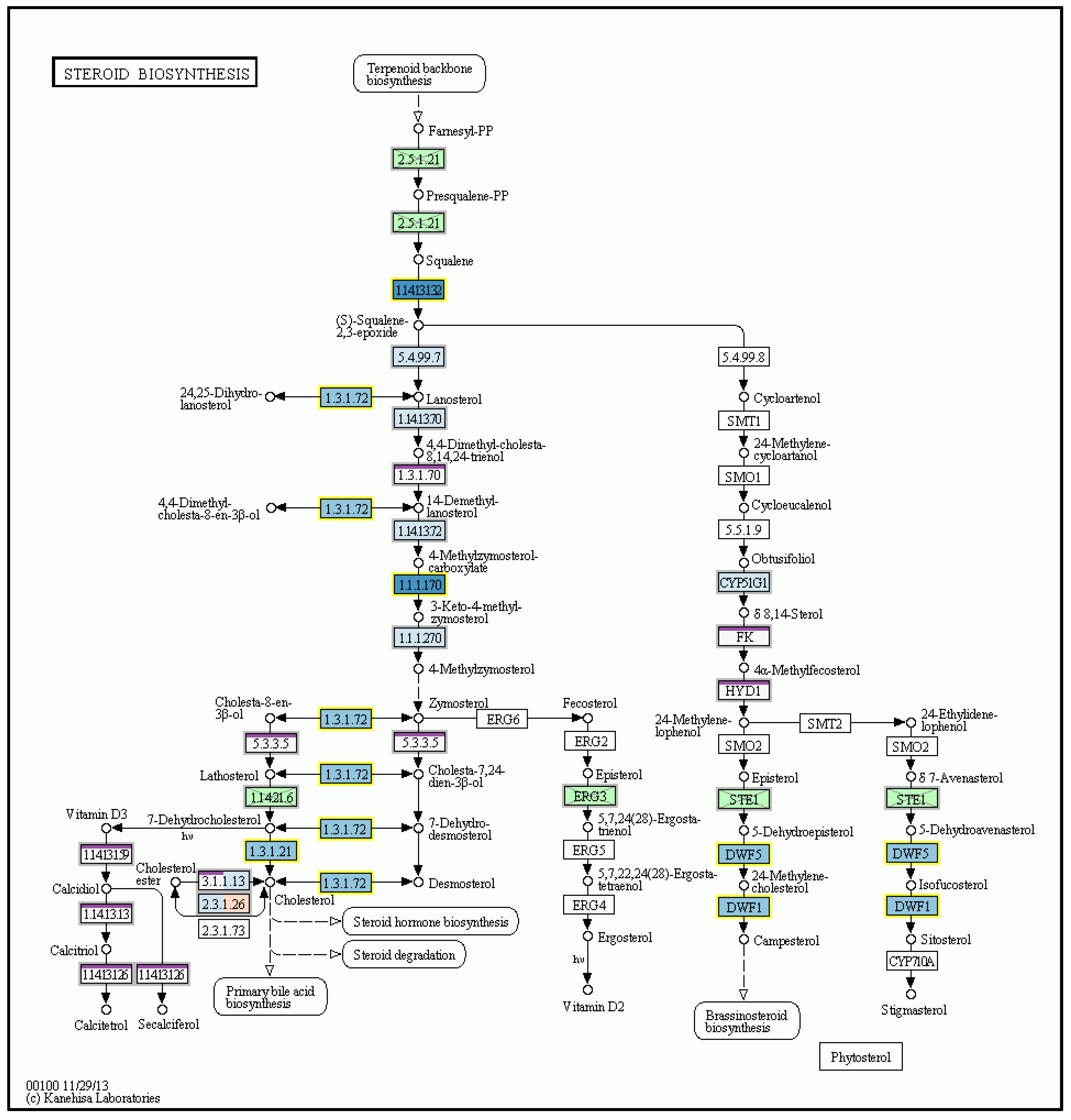 IJMS | Free Full-Text | The Ameliorating Effects of n-3 Polyunsaturated ...