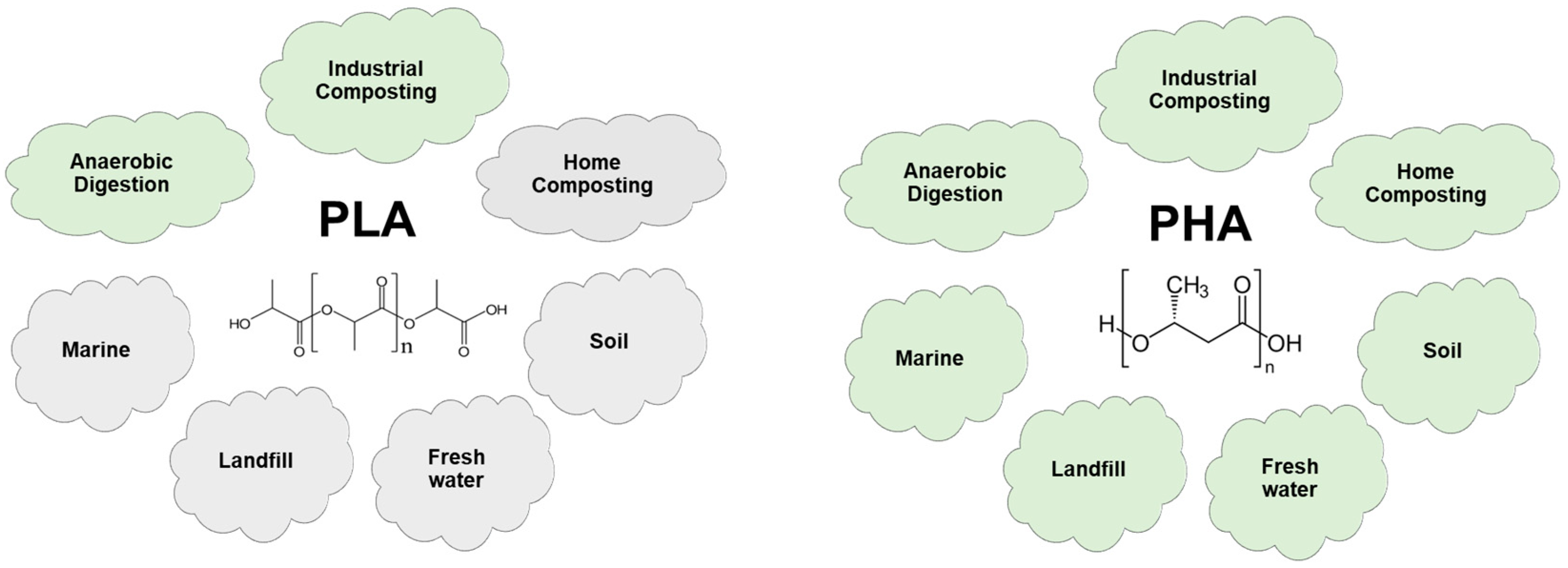 Copolymers and Blends Based on 3-Hydroxybutyrate and 3-Hydroxyvalerate ...