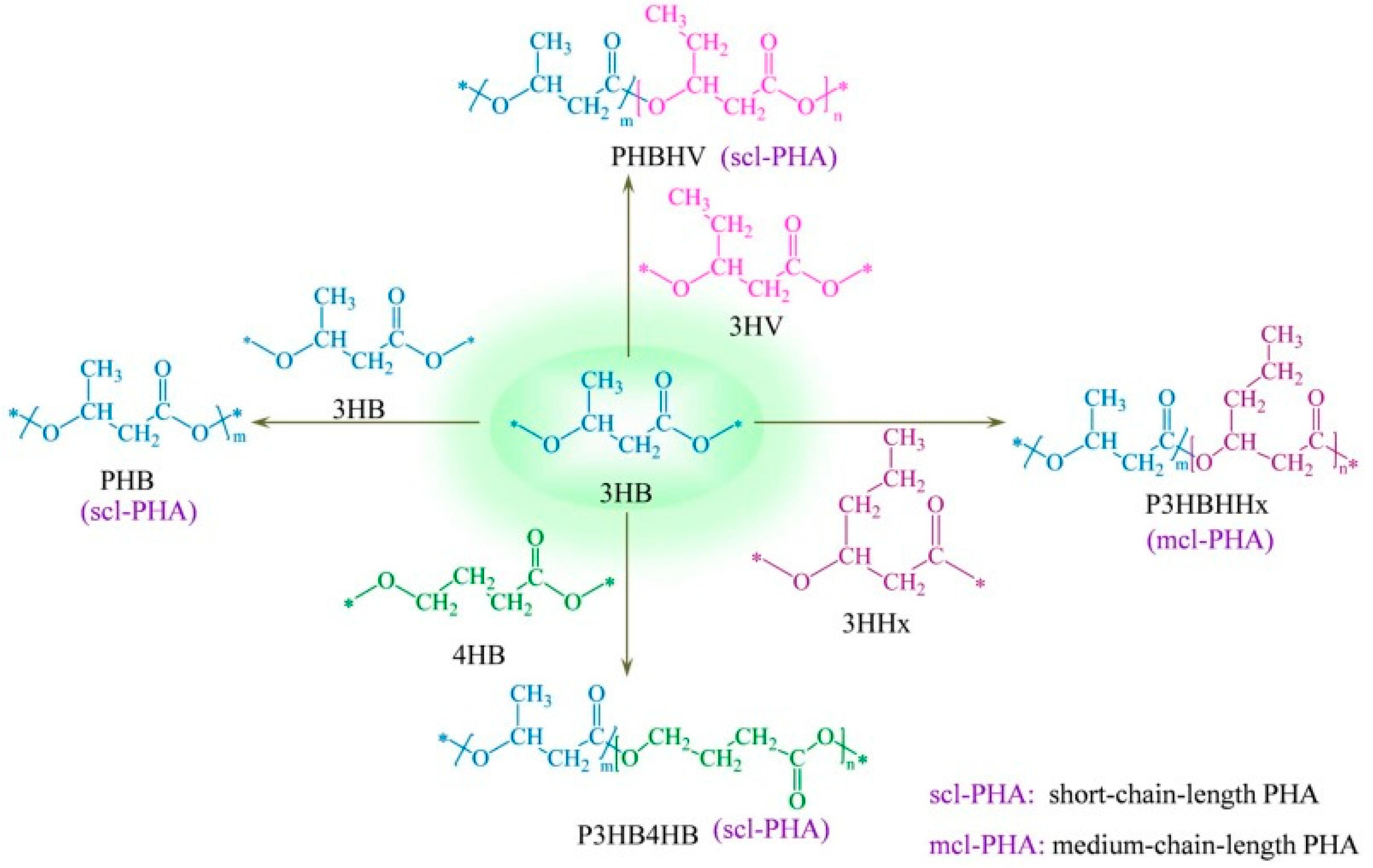 IJMS | Free Full-Text | Copolymers and Blends Based on 3 ...