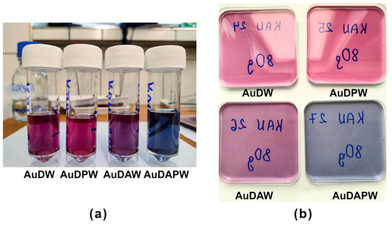 IJMS | Free Full-Text | The Preparation of Silver and Gold ...