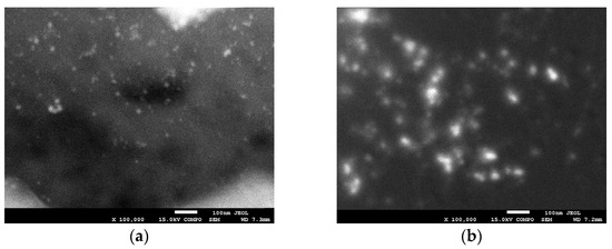 IJMS | Free Full-Text | The Preparation of Silver and Gold ...