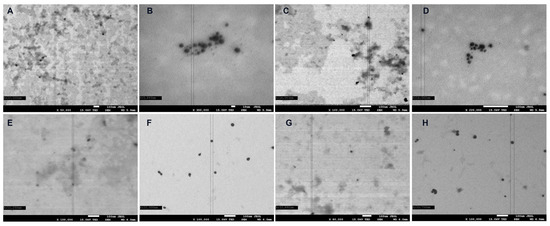 IJMS | Free Full-Text | The Preparation of Silver and Gold ...