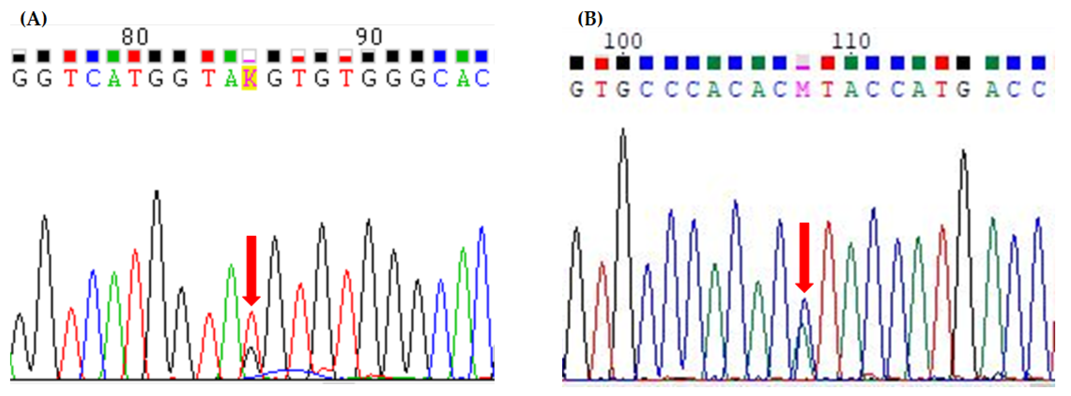 IJMS | Free Full-Text | A Novel Heterozygous Mutation c.1627G>T (p ...