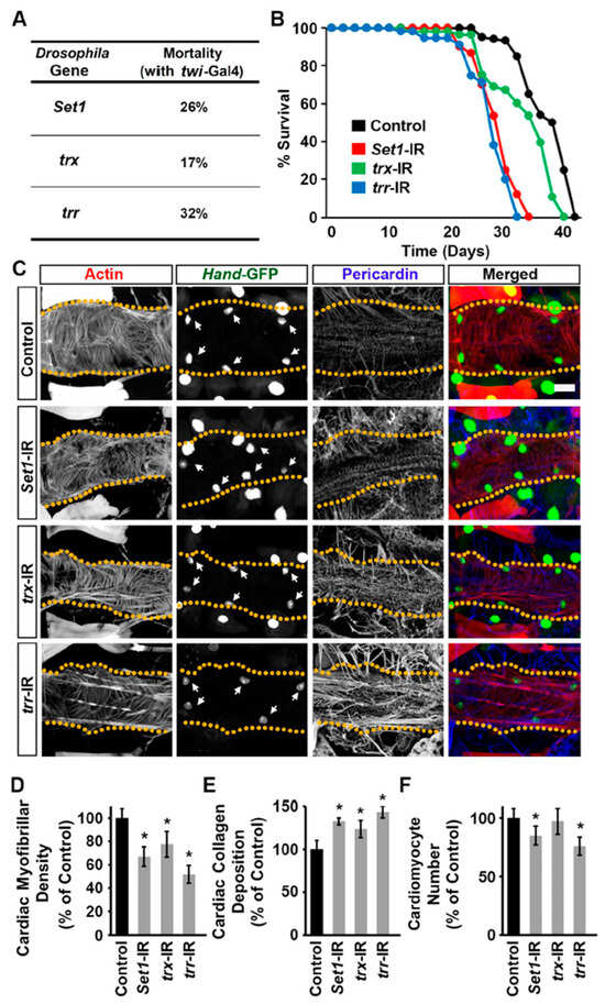 IJMS | Free Full-Text | Distinct Roles for COMPASS Core Subunits Set1 ...